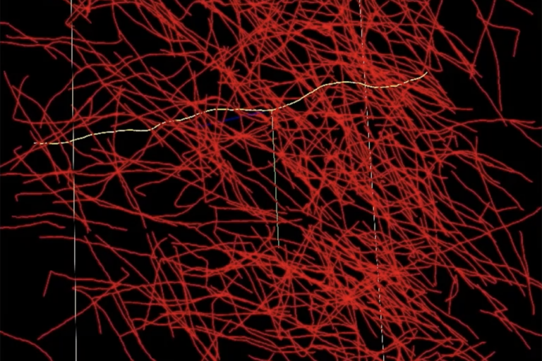 MIT's New Open-Source Tool Aims to Untangle Brain Complexity - India ...