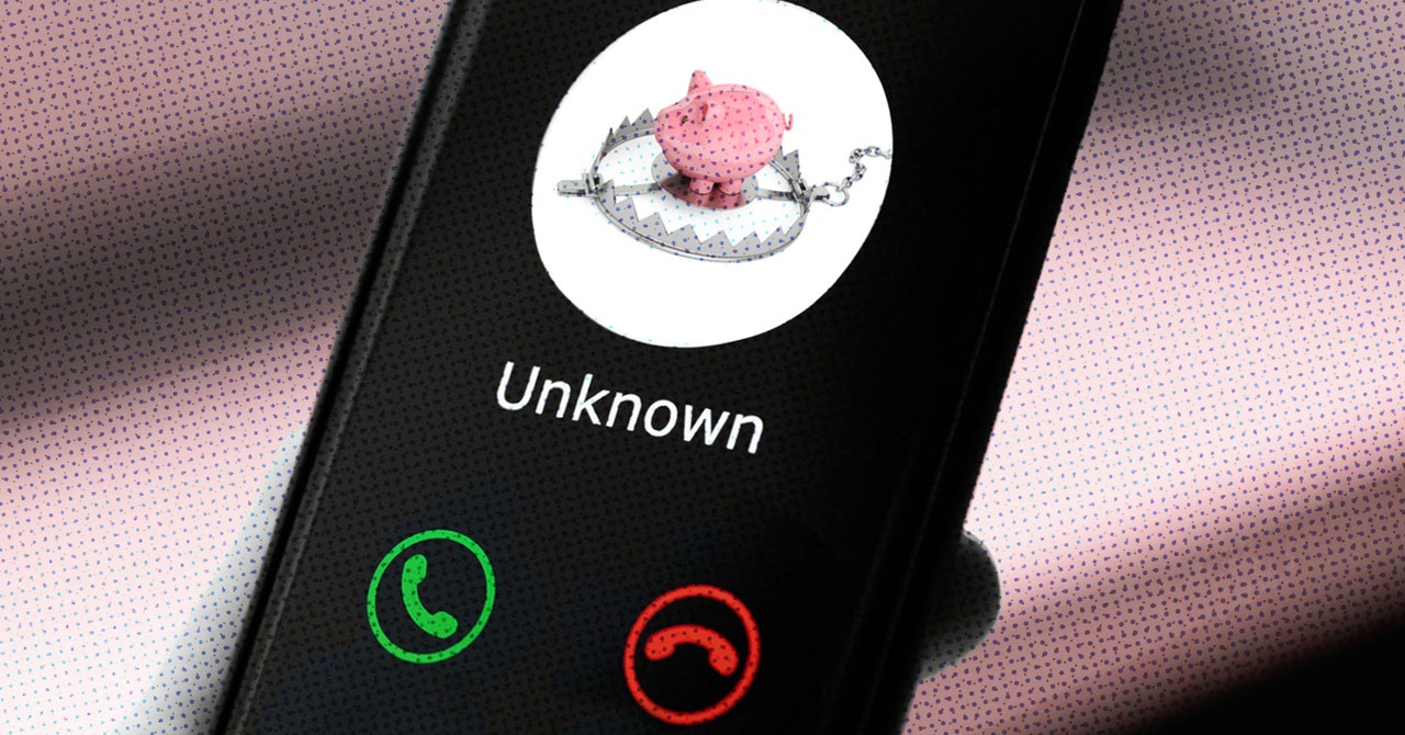 High-Tech Evolution of Pig Butchering Scams: A Growing Concern - India ...